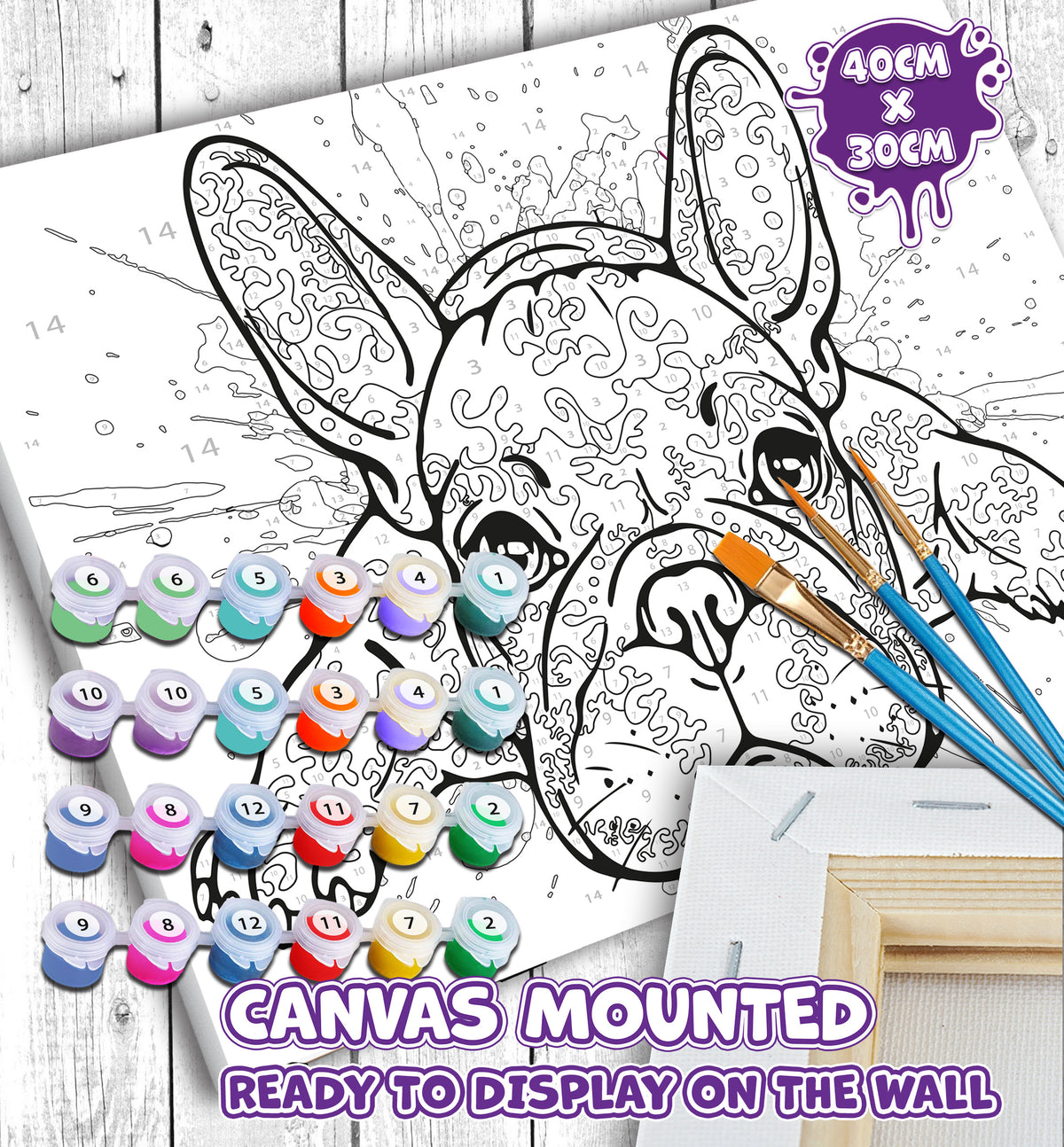 FRENCH BULLDOG PAINTING BY NUMBER | FRAMED PAINT BY NUMBERS | CANVAS ...